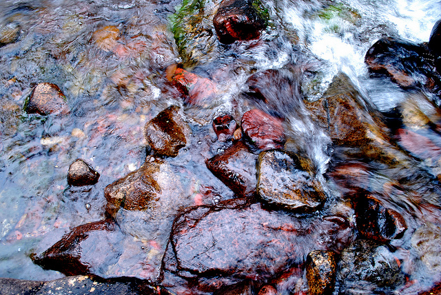 | rivers | catchments | water